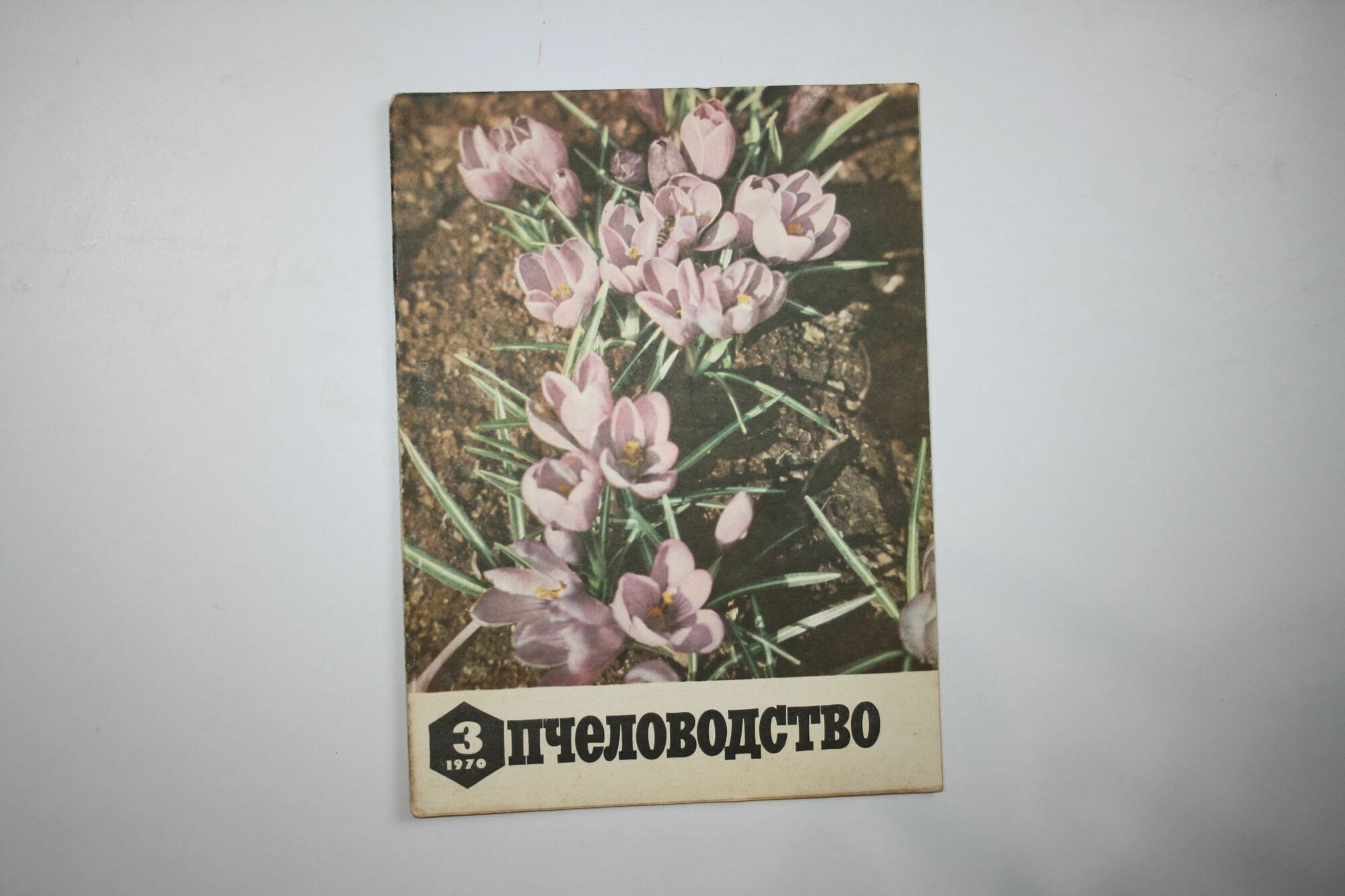 Журнал Пчеловодство № 3, 1970