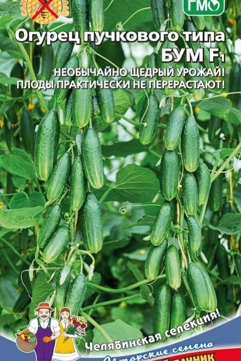 Семена огурец «бум f1» пучкового типа, мини-корнишоны 6-8,5см, зелёные, бумажная упаковка, длительное плодоношение