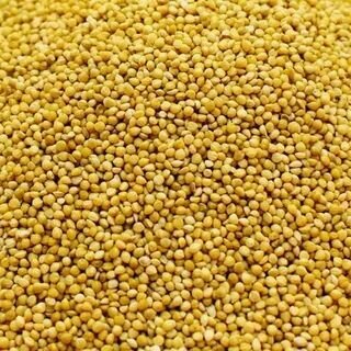 Просо желтое корм для домашних птиц- попугаев канареек голубей и грызунов 10000г.