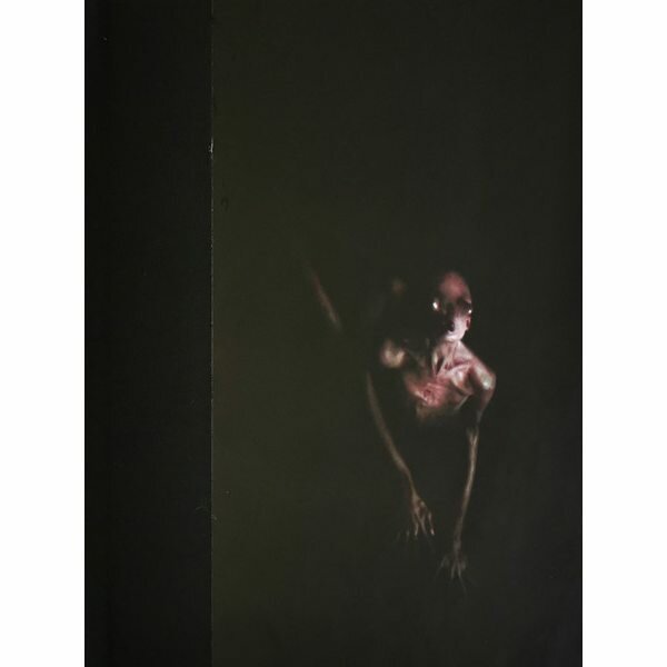 TOOL - Opiate , (Blu-ray , Single, Limited Edition, Special Edition, Stereo) Blu-ray диск