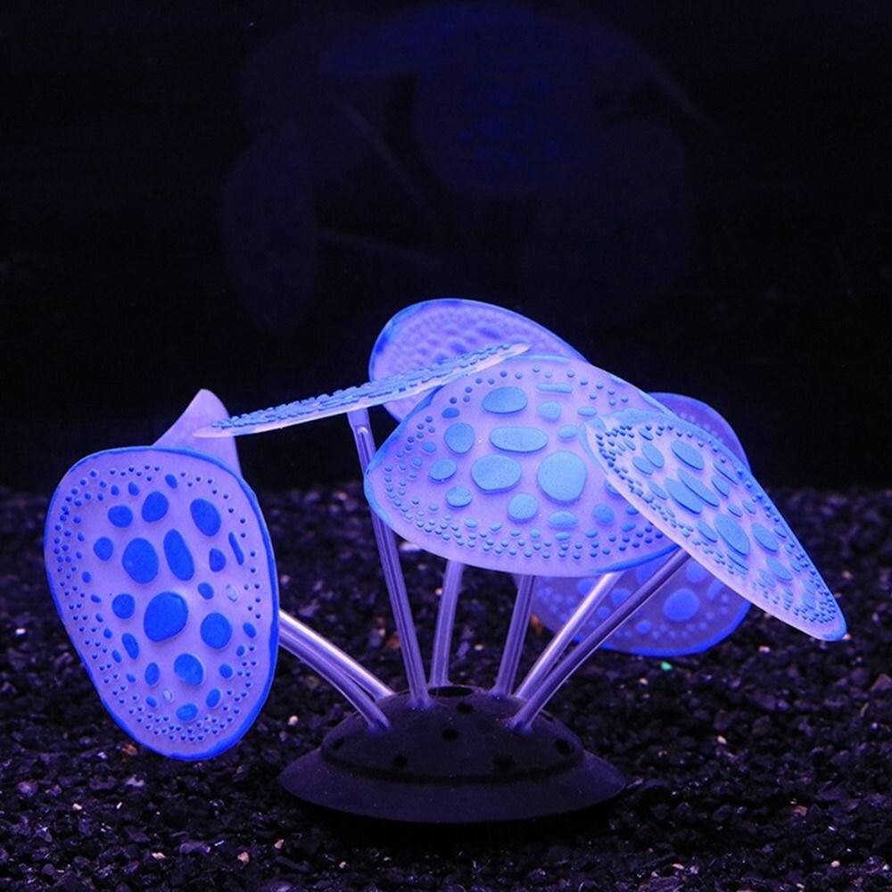 Моделирование Коралл