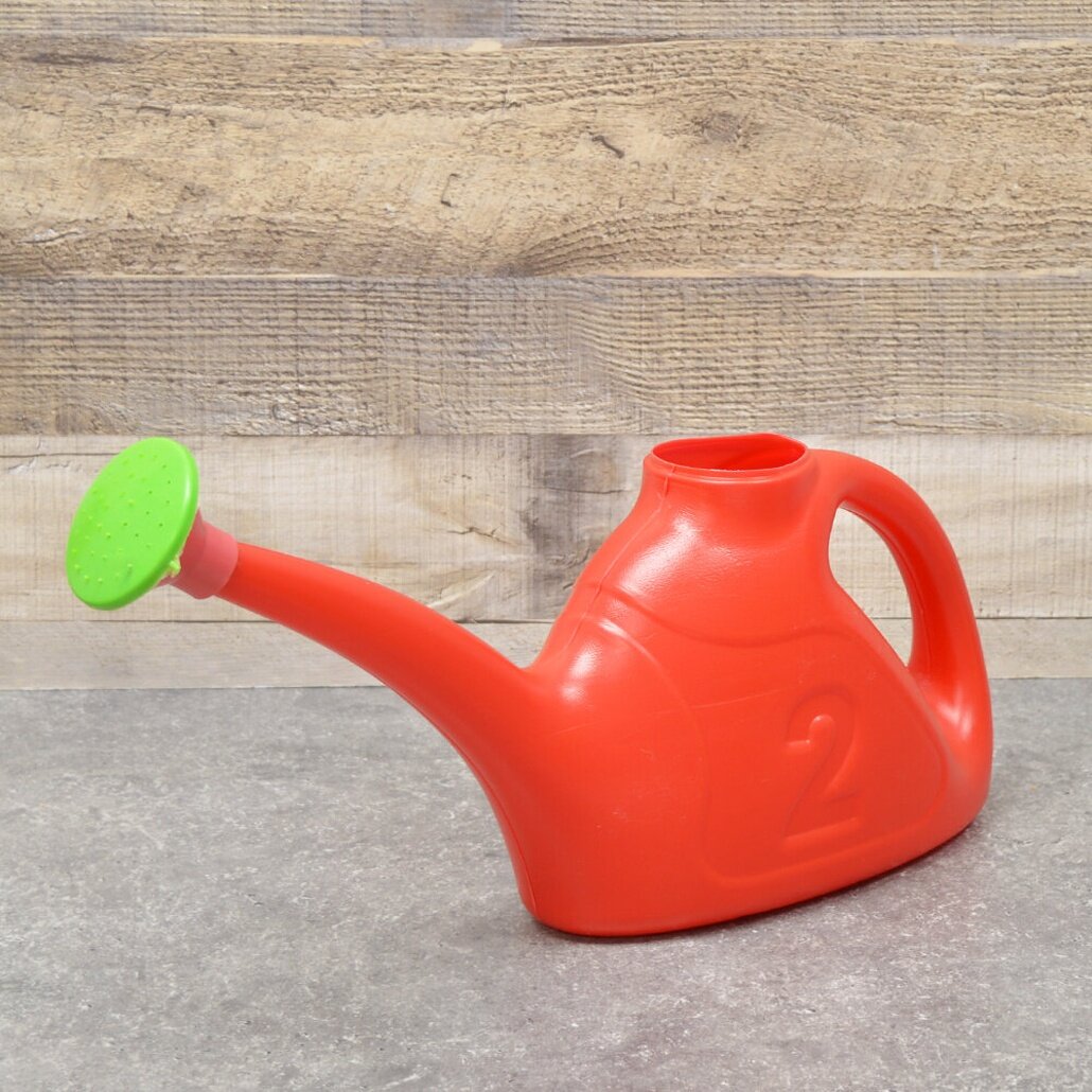 Лейка 2л с рассеивателем, пластиковая, легкая и удобная для полива