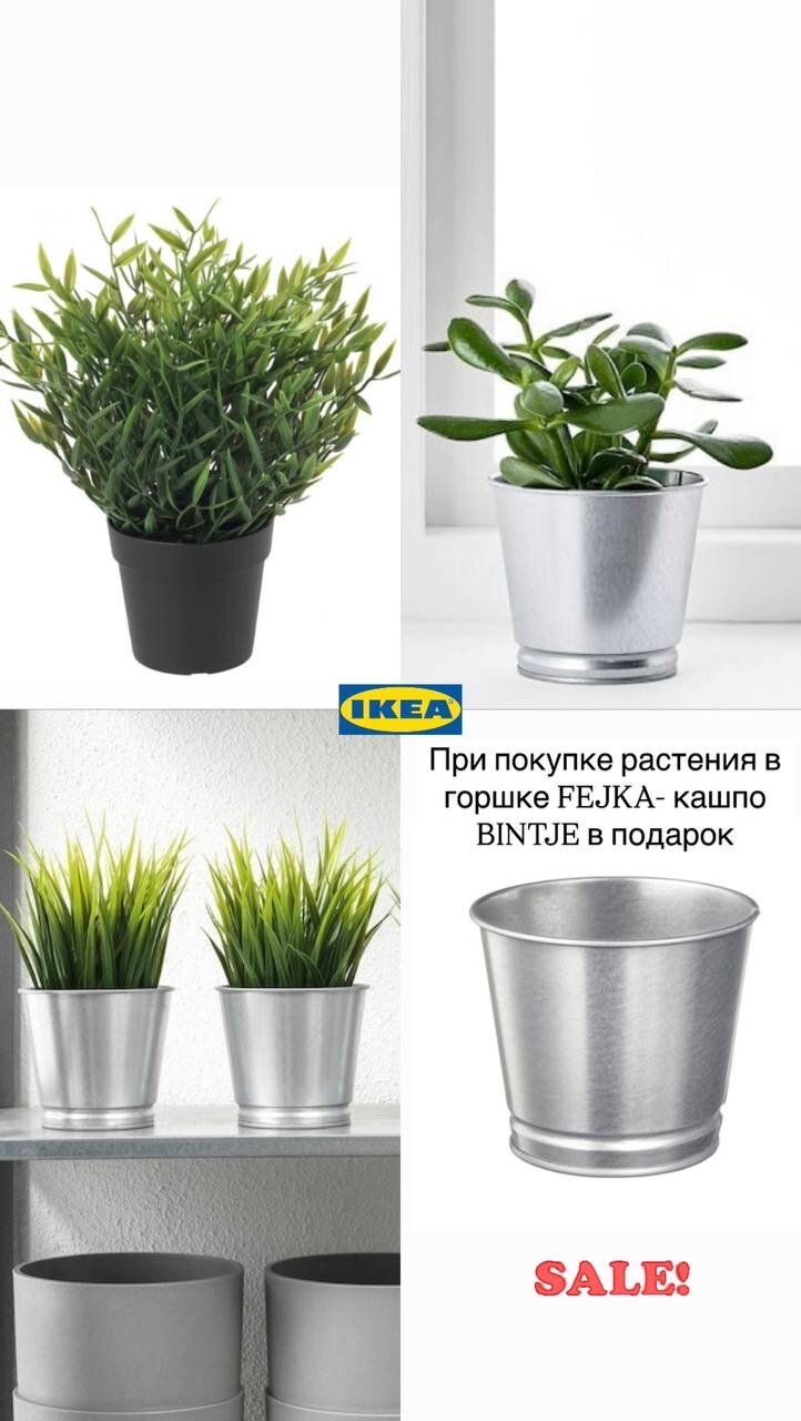 Икеа Комнатный бамбук искусственный в горшке фейка 20433941, 26 см 1 зелeный 9 см 26 см