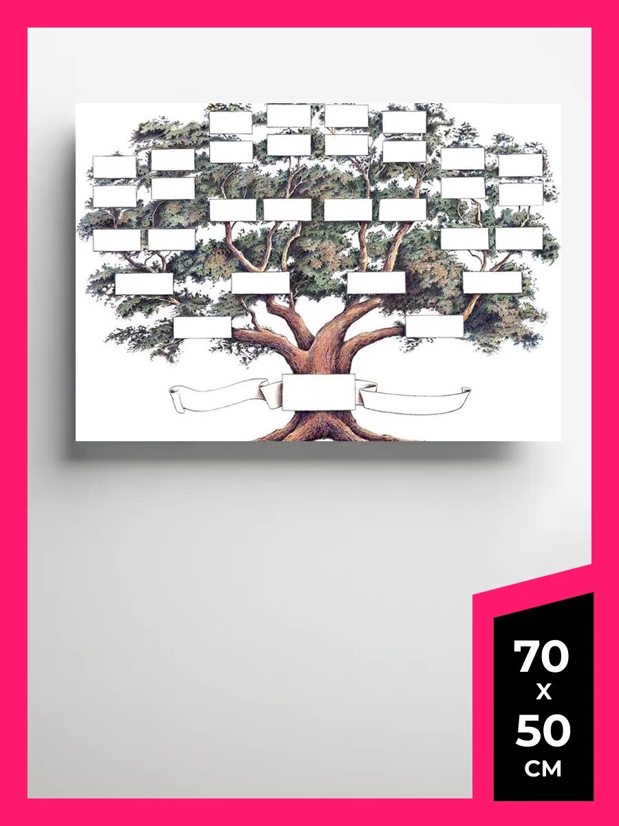 Плакат Семейное древо Постер 8 A5070, матовая фотобумага премиум качества