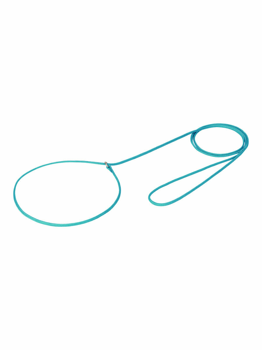 Поводок-удавка с кольцом для собак ZooOne, круглый, ширина 3 мм, длина 150 см (бирюзовый), 74-2400
