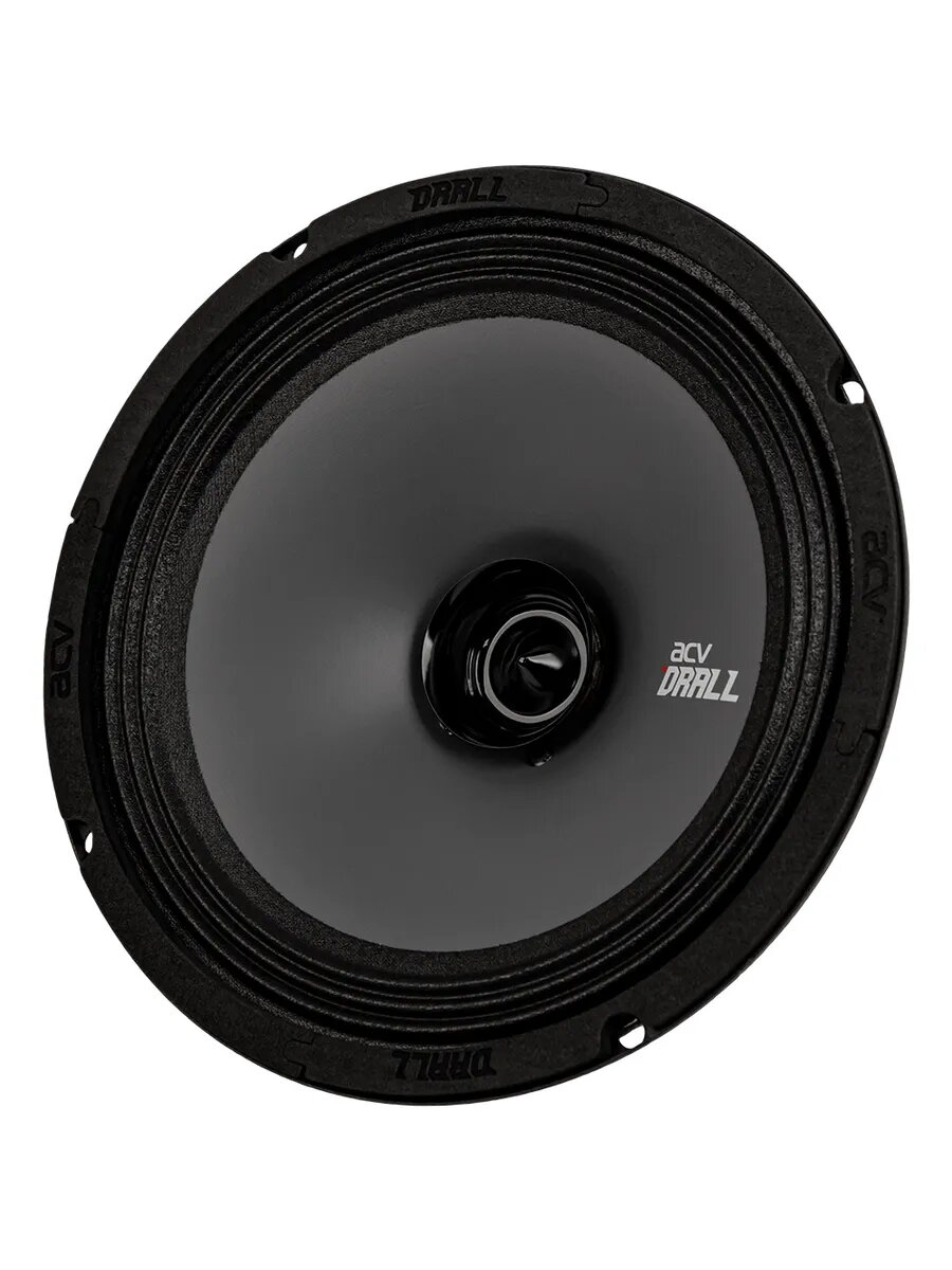 Широкополосная эстрадная акустика DR8 DRALL 100Вт 8"