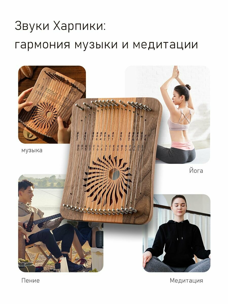 Струнный инструмент — фото 1