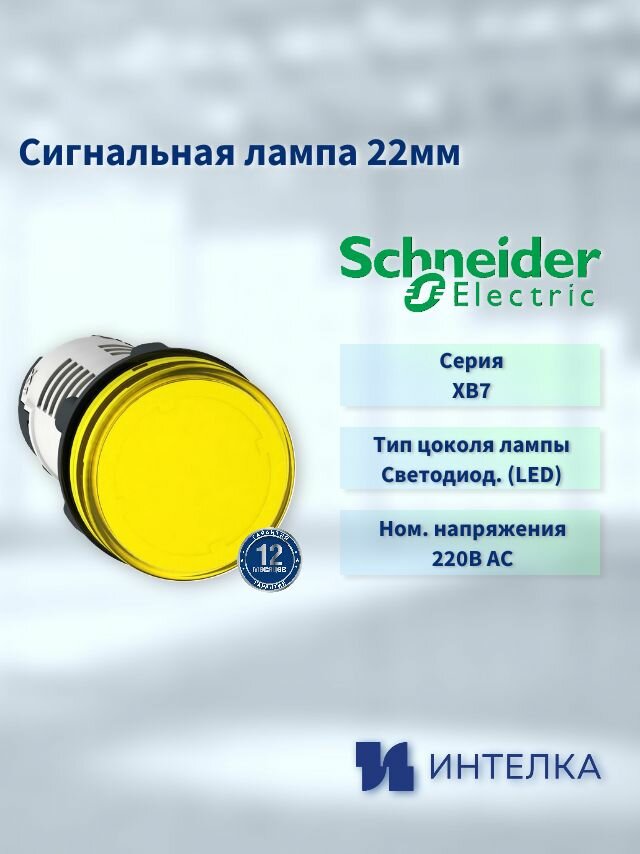 Лампа сигнальная Schneider Electric, 22мм, 220В, AC, Оранжевый. XB7EV05BP
