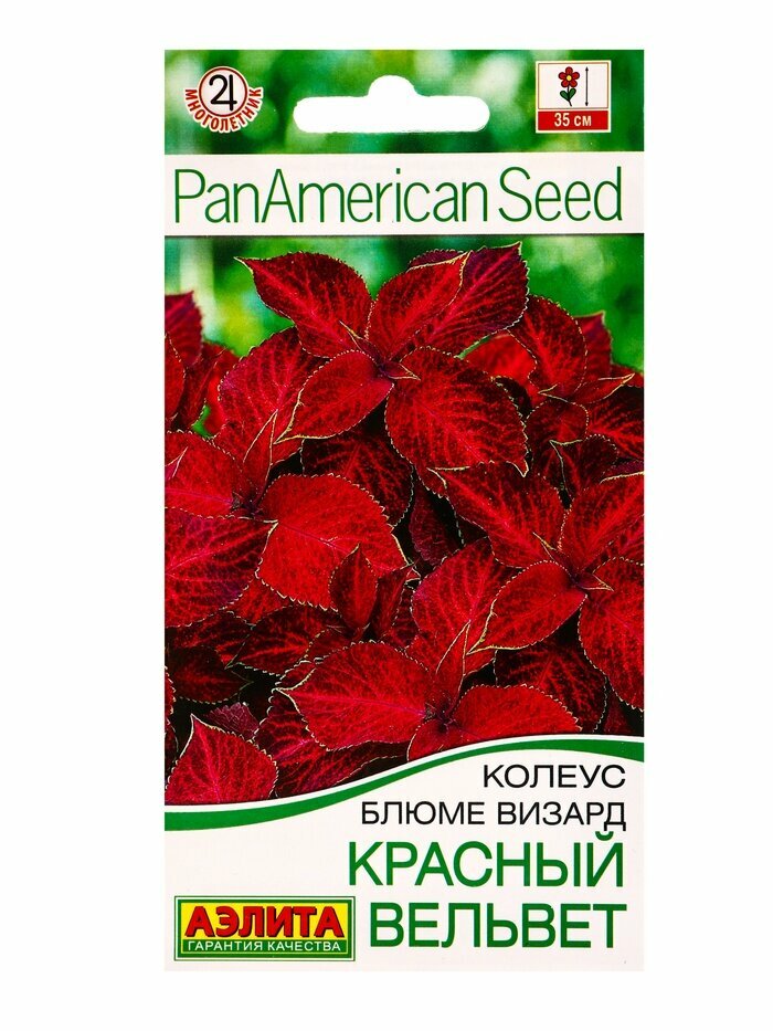 Семена цветов Колеус блюме Красный вельвет Мн Спецсерия PanAmerican, Ц/П,5 шт. 10945508