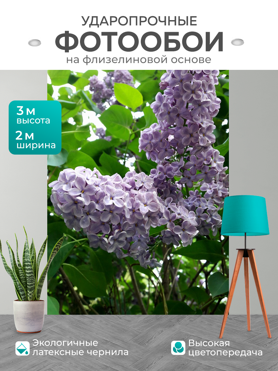 Фотообои моющиеся ударопрочные "Цветы, весна, сирень" 200x300 см. флизелиновые на стену