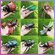 Подарочный набор игрушек