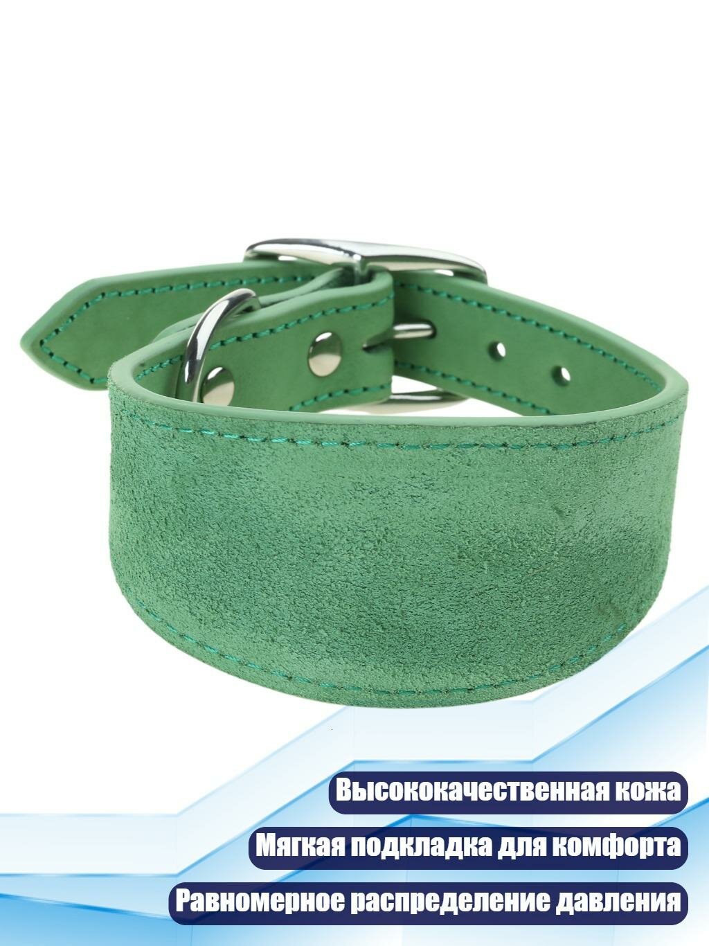 Кожаный ошейник для салюки, Изумруд - S