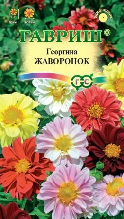 Семена Георгина "Жаворонок" полумахровая смесь "Гавриш"