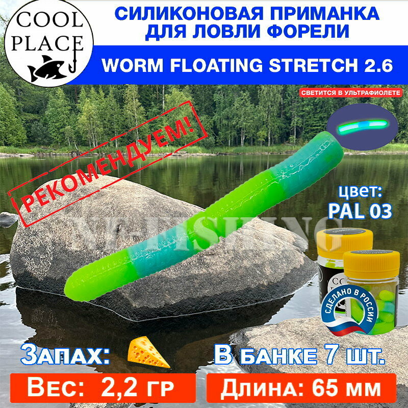 Приманка Cool Place BUK Floating stretch 6,5см, цвет PAL03, с ароматом сыра