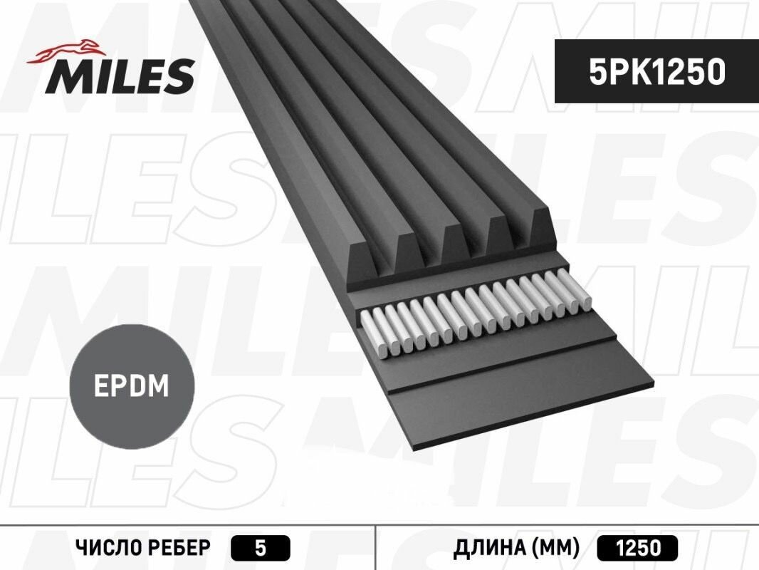 Ремень MILES 5PK1250 для Citroen Berlingo, Peugeot 306, Renault Clio