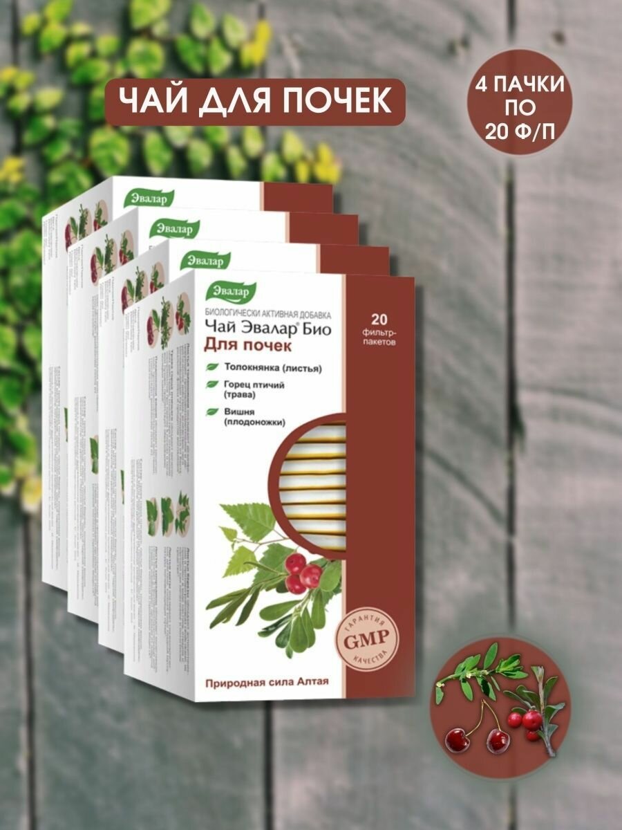 Чай для почек и мочевыделительной системы 20 фильтр-пакетов по 1,5г 4уп