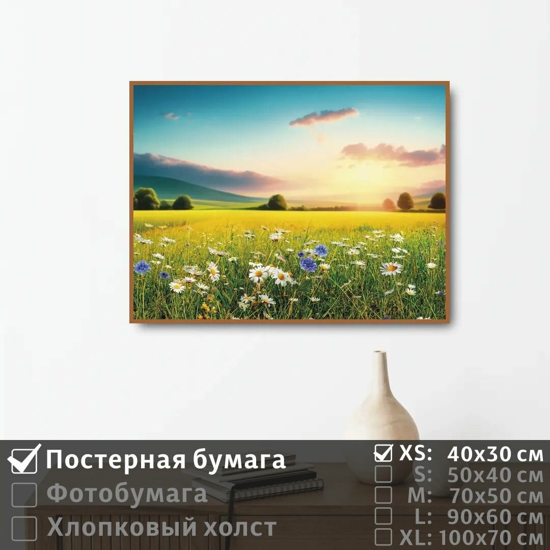 Постер на стену Полевые Цветы Васильки И Ромашки 40х30 см ПолиЦентр