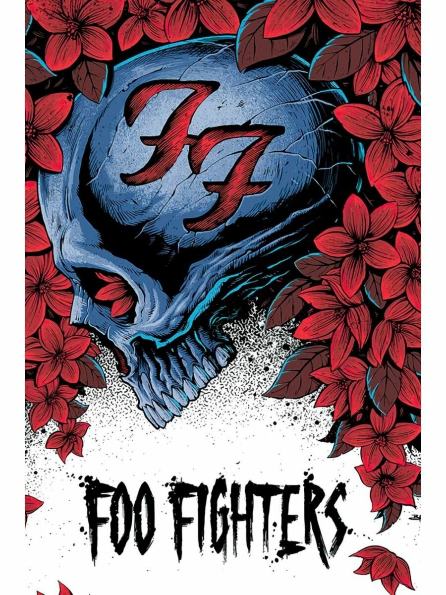 Постер "Foo Fighters"