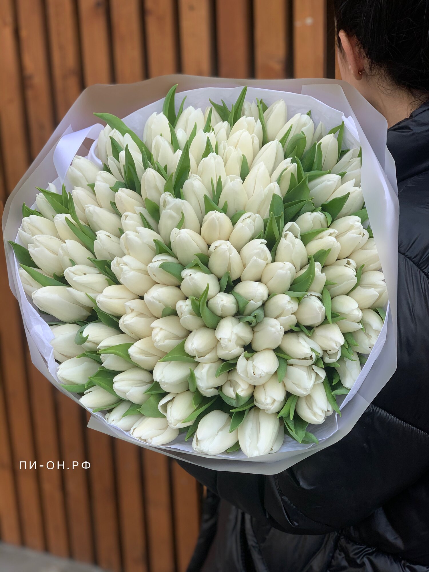 Большой букет живых цветов из тюльпанов, 101 шт, в стильной упаковке, белые тюльпаны