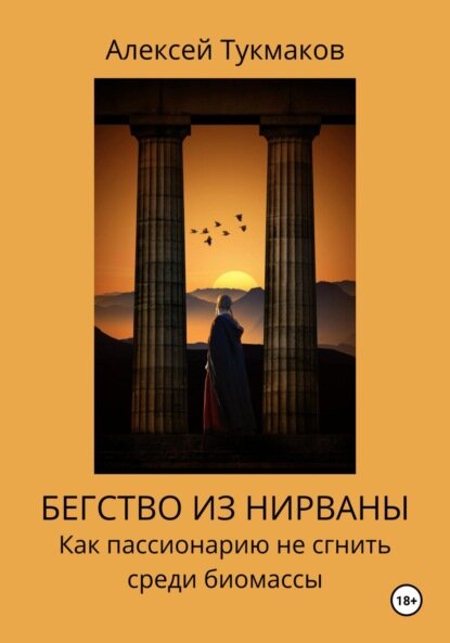Бегство из нирваны: Как пассионарию не сгнить среди биомассы [Цифровая книга]