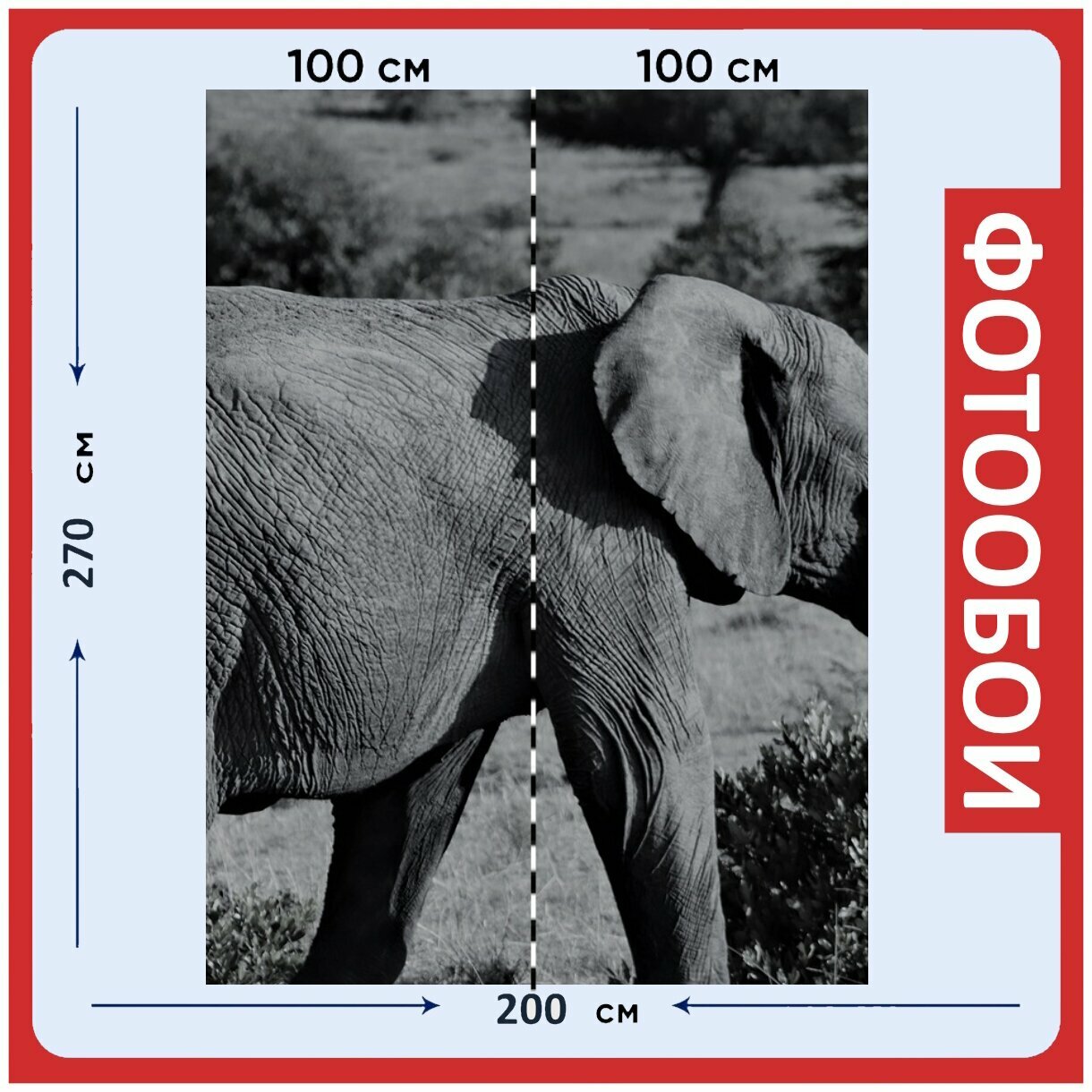 Фотообои "Слон, сафари, африка" 200x270 см. флизелиновыена стену