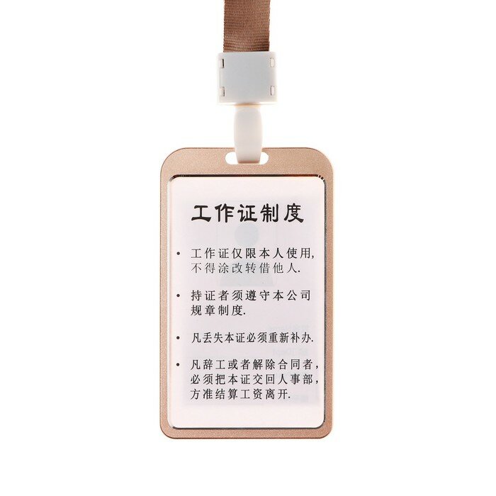 Бейдж-карман вертикальный (внешний 98 х 58мм), внутренний 85 х 54мм, металл, золотой, лента 40см, 9849202