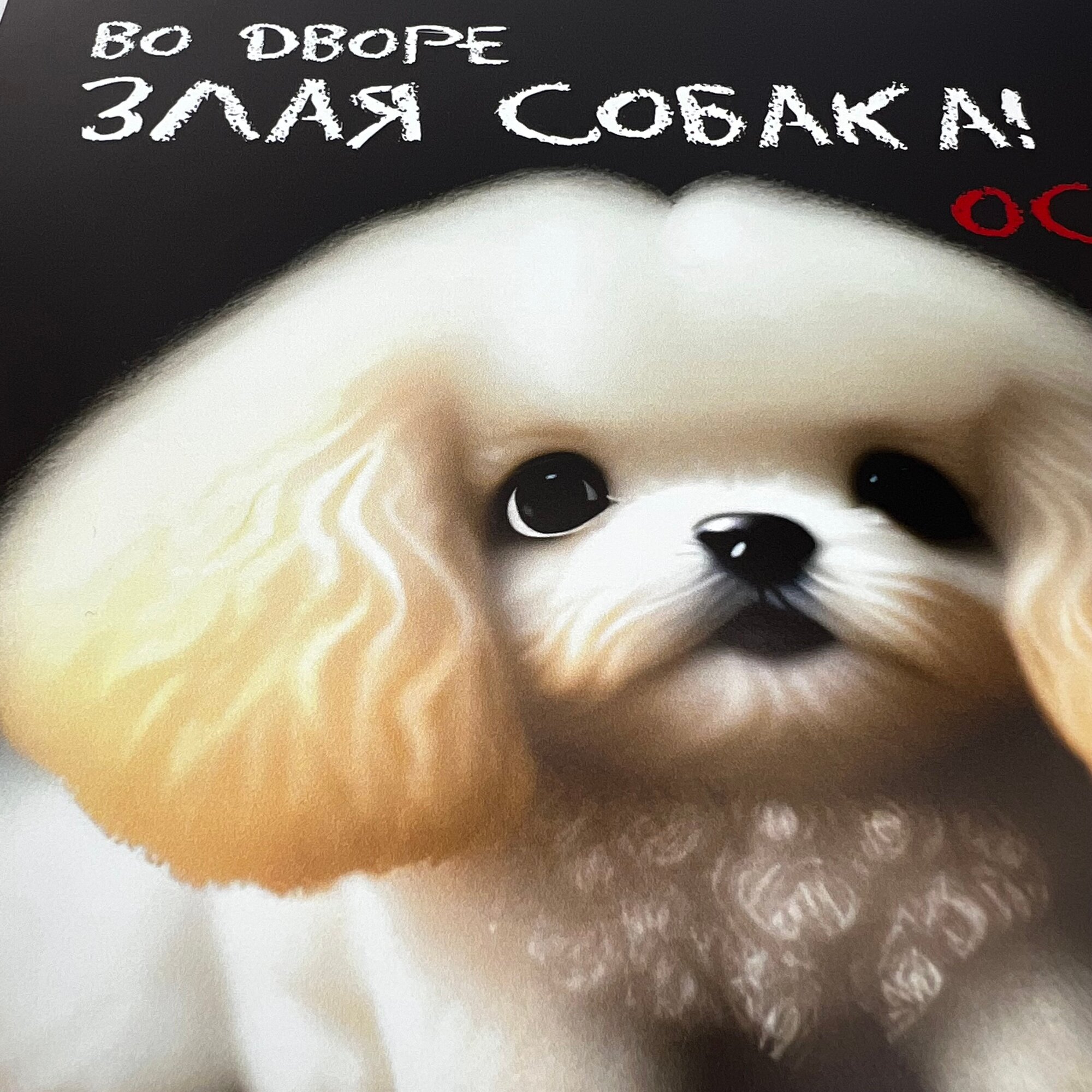 Табличка Во дворе злая собака! — фото 1