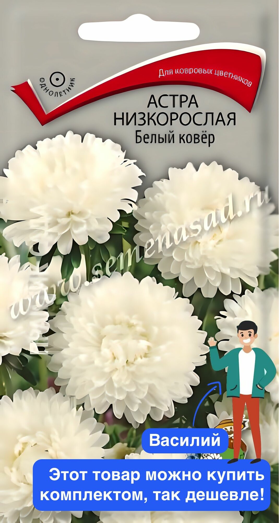 Семена цветов Поиск "Астра низкорослая Белый ковёр", 0,2 гр.