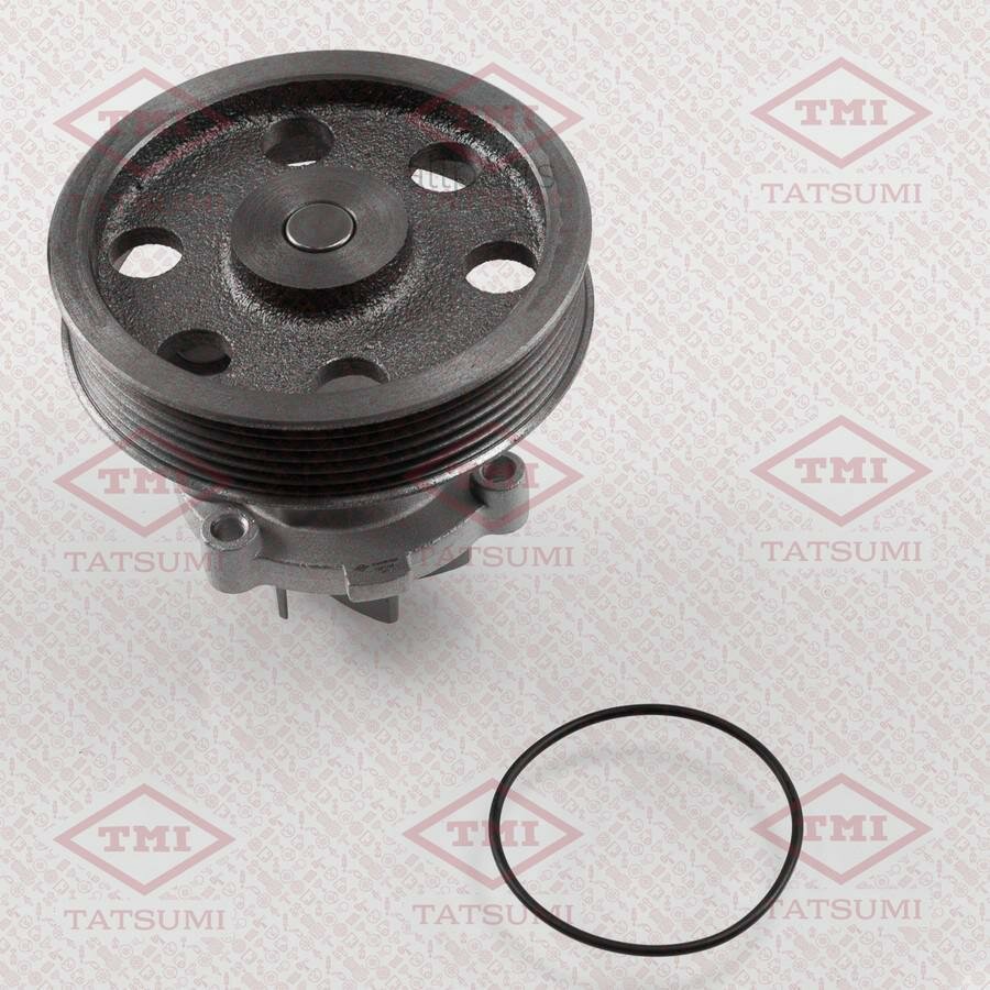 TATSUMI TGF1126 Насос водяной