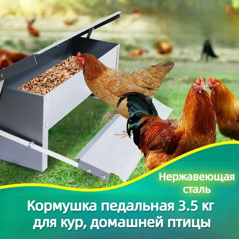 Автоматическая кормушка для кур-Кормушка педальная 3.5 кг для кур, домашней птицы