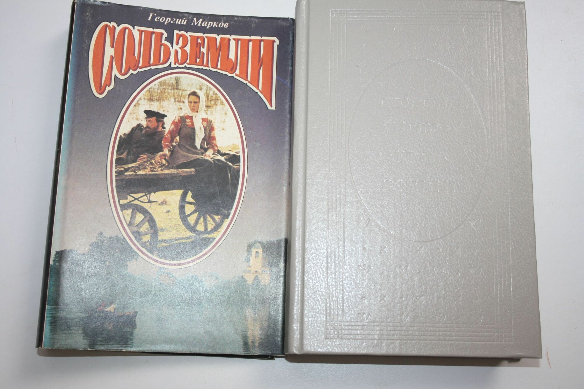 Соль земли. Роман