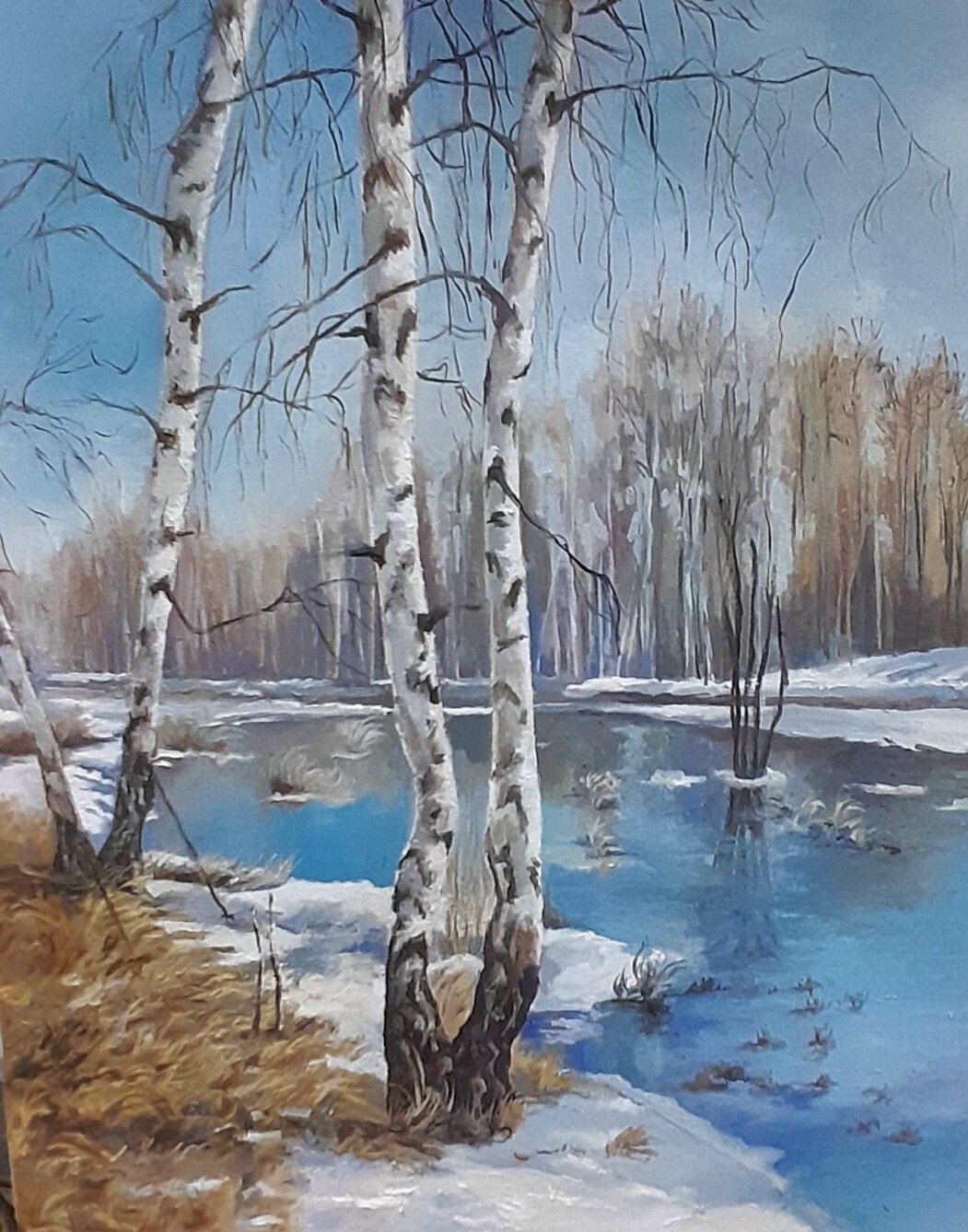 Картина маслом на холсте о SkinNewArt