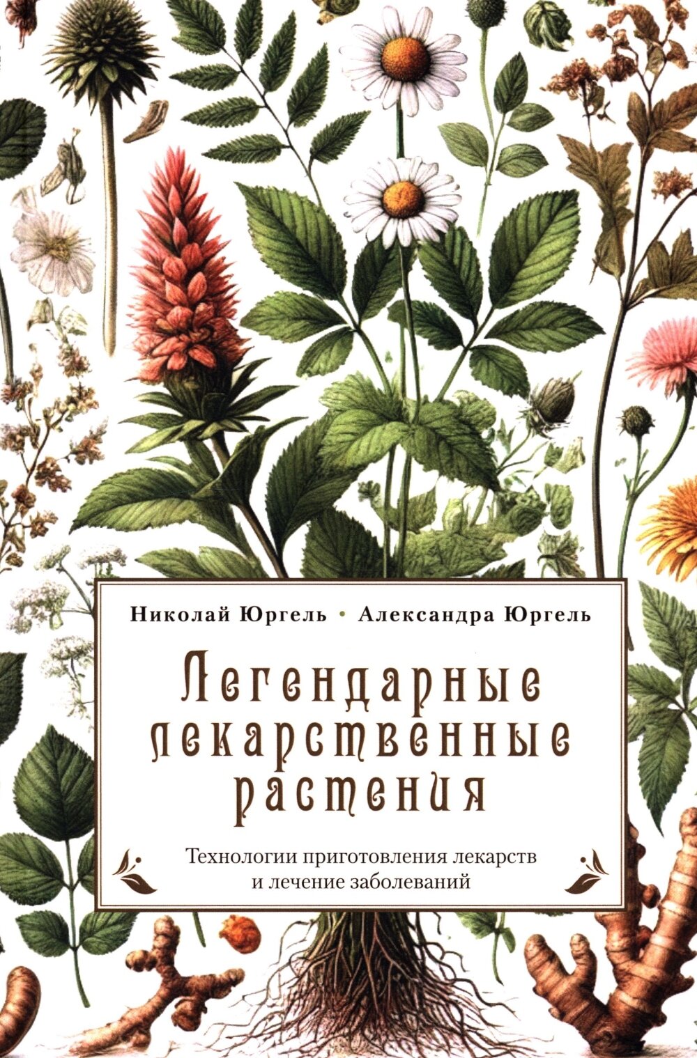 Легендарные лекарственные растения. Технологии приготовления лекарств и лечение заболеваний. Юргель Н. В, Юргель А. И. ИПО "У Никитских ворот"