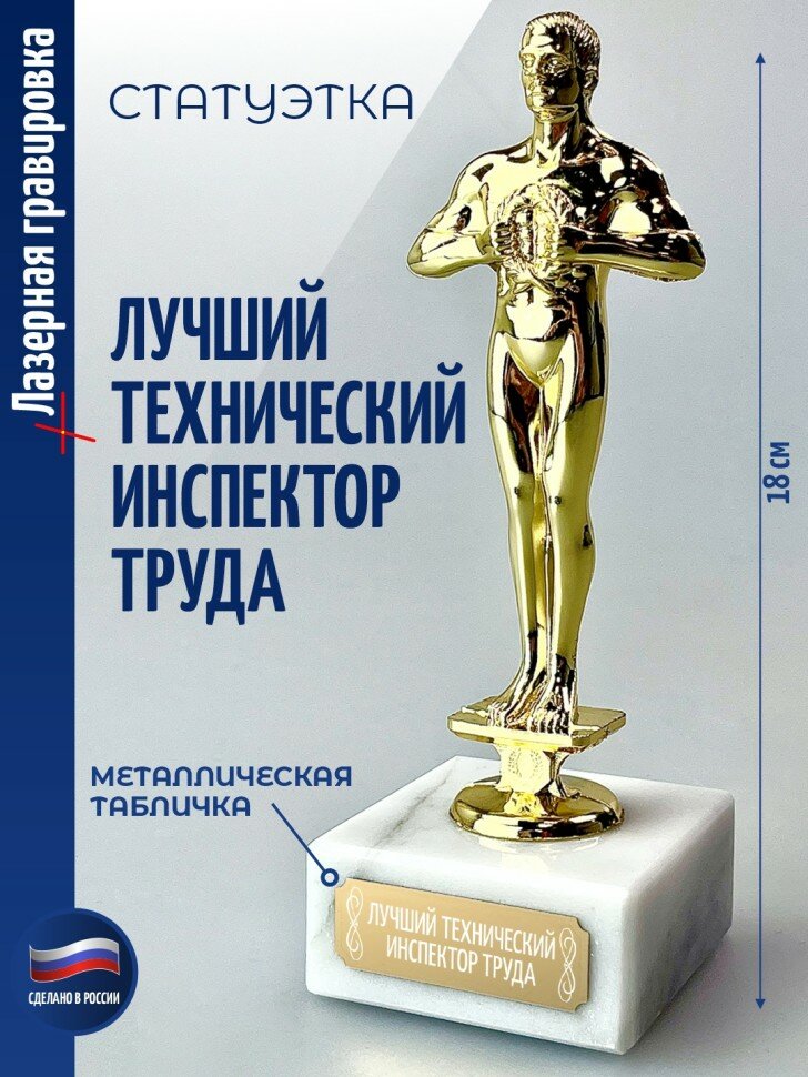 Награда "Лучший технический инспектор труда" (18 см)