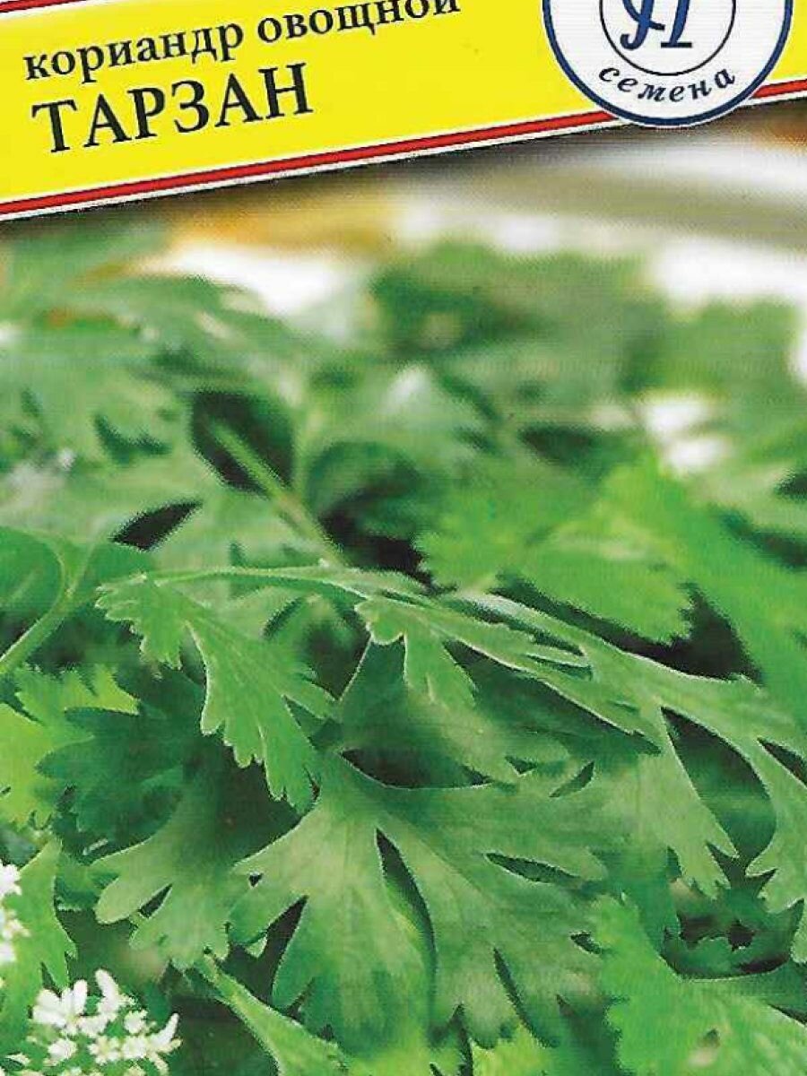Кинза (Кориандр) Тарзан 1 г, Семена Престиж