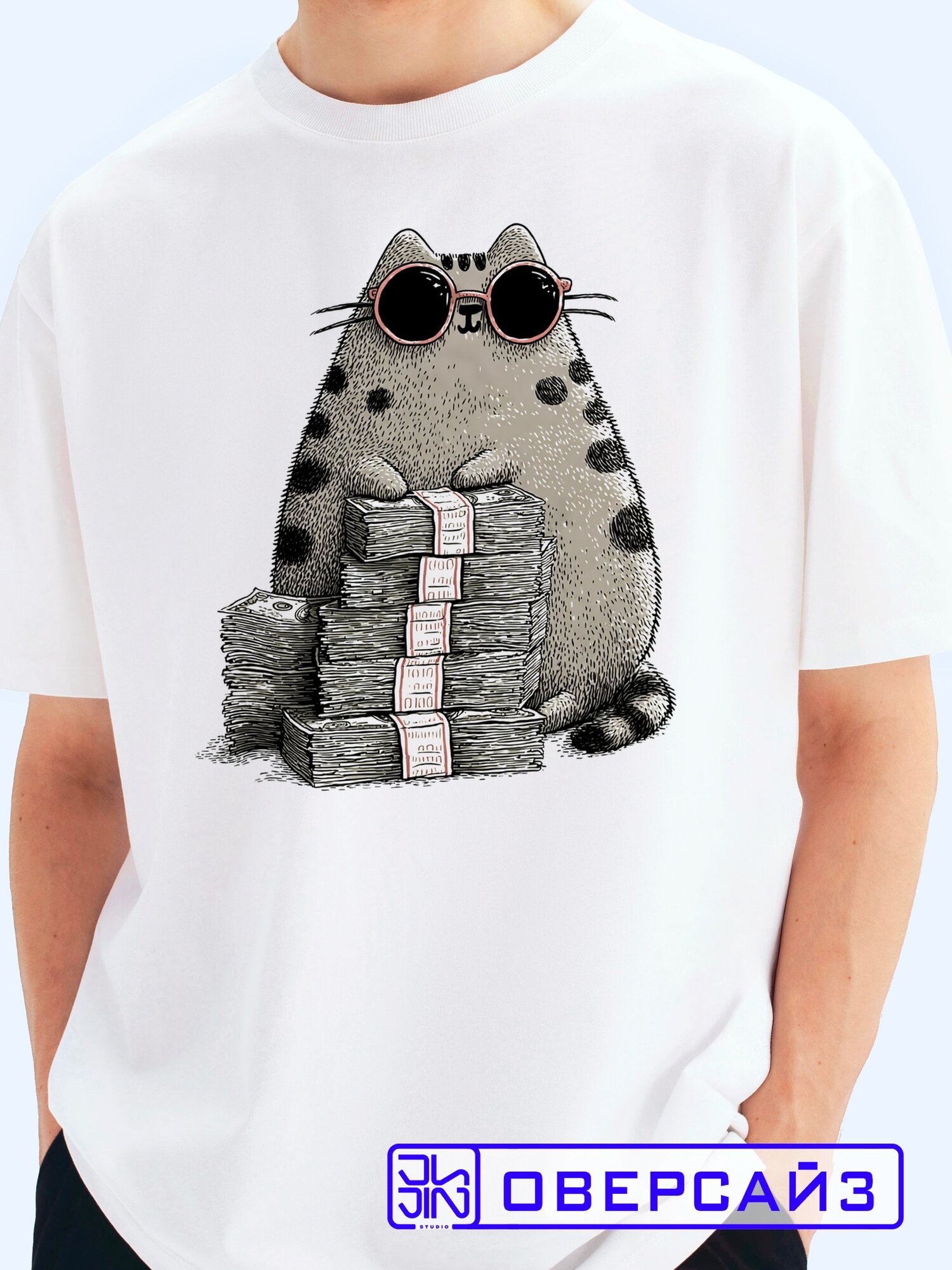 Футболка оверсайз мужская с принтом Кошка смешная, мемная бежевая и черная с очками и пачками денег, белый хлопковый трикотаж с прикольным рисунком на груди