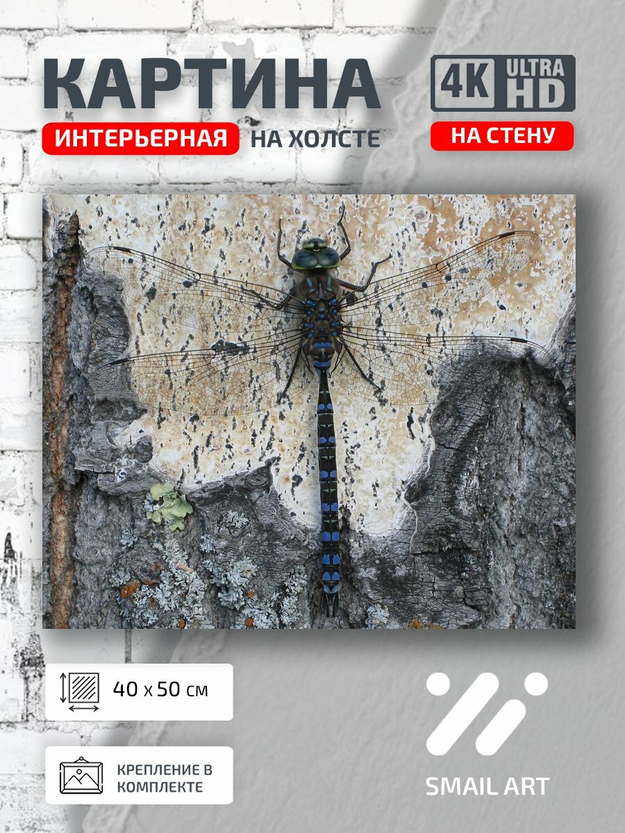 Картина на холсте интерьерная 40 на 50 на стену Дереве Mood для студии атмосфера интерьер