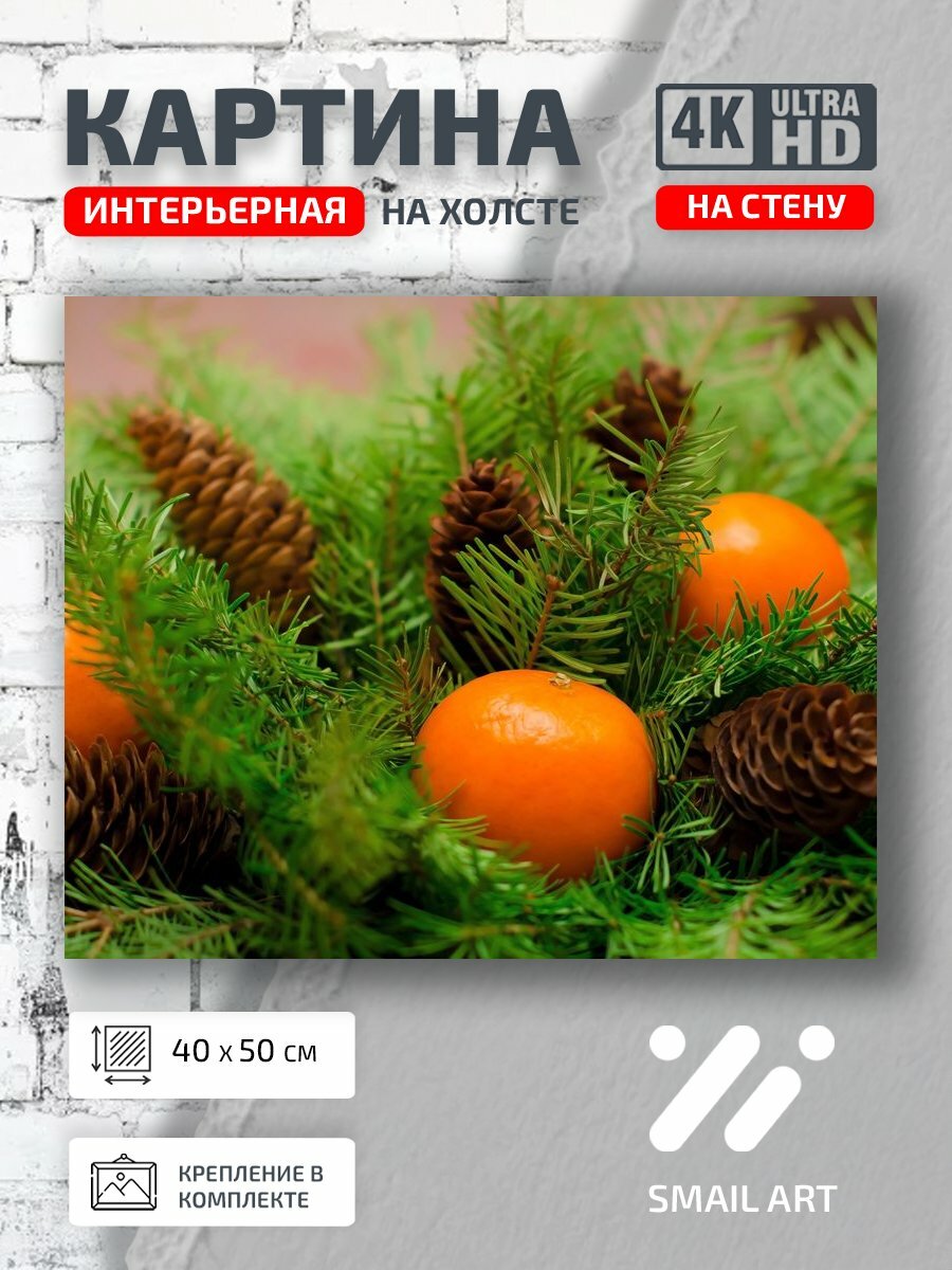 Картина на холсте интерьерная 40 на 50 на стену Ветки Holiday для гостиной праздник декор