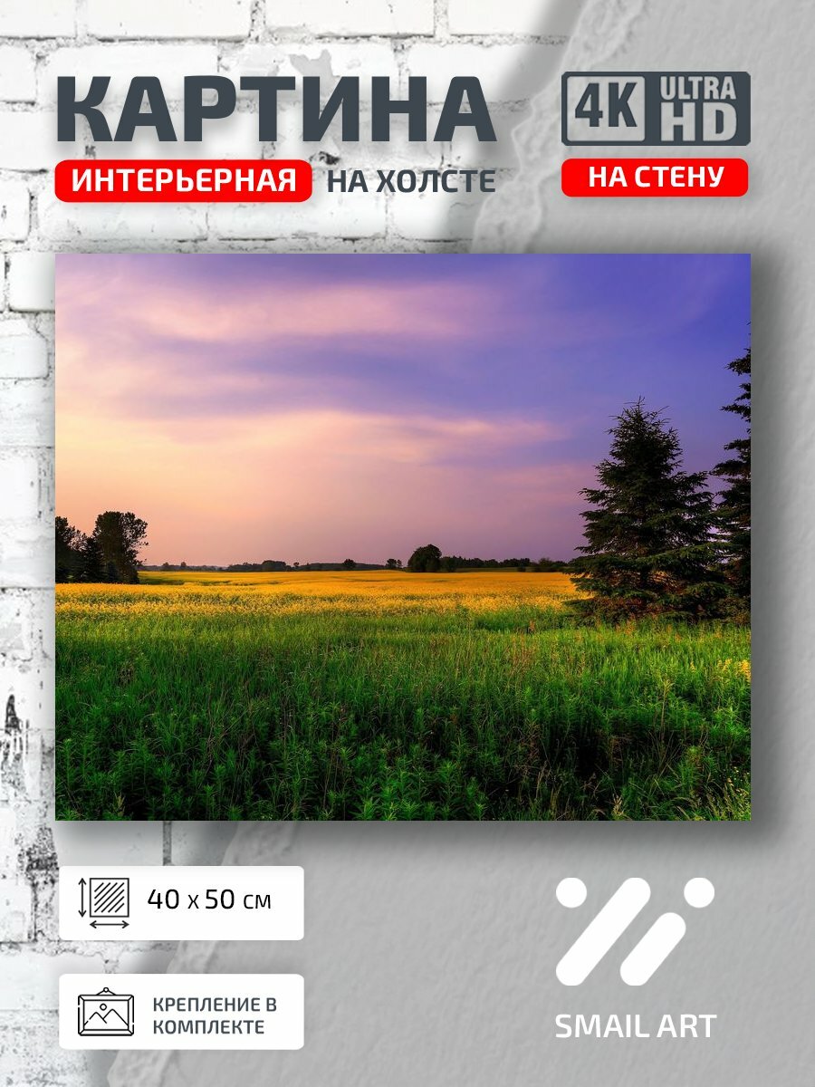 Картина на холсте интерьерная 40 на 50 на стену Закатом Landscape для гостиной пейзаж декор