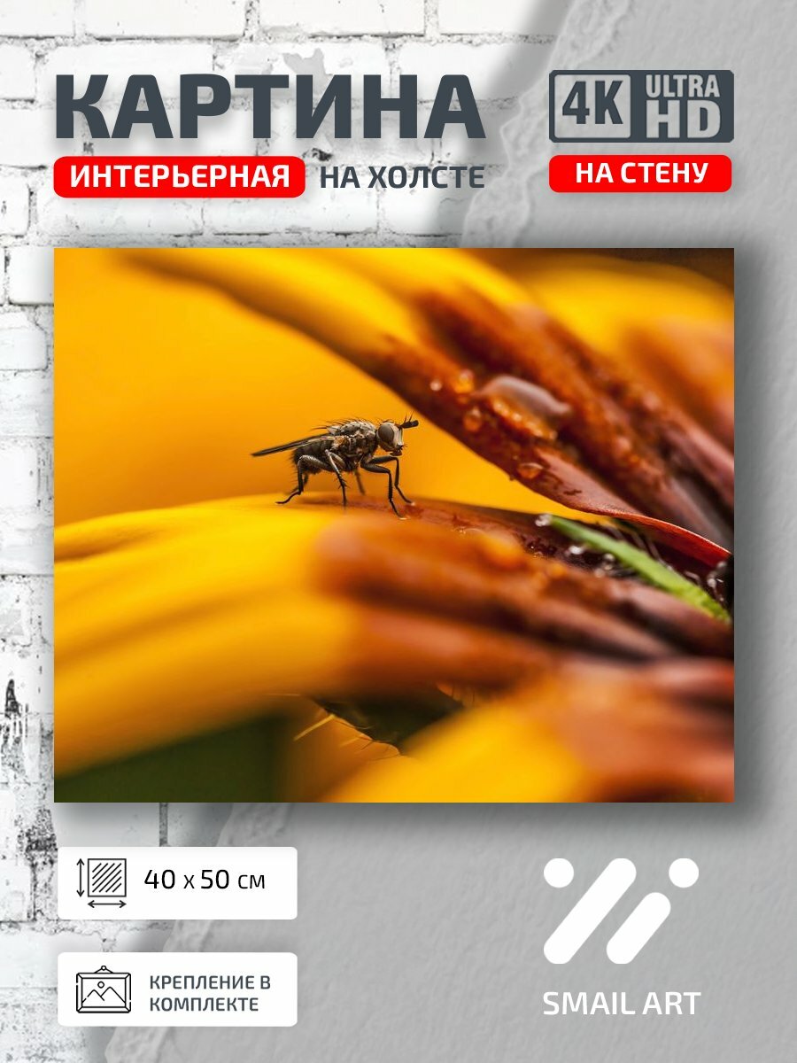 Картина на холсте интерьерная 40 на 50 на стену Росы Macro для гостиной макро интерьер