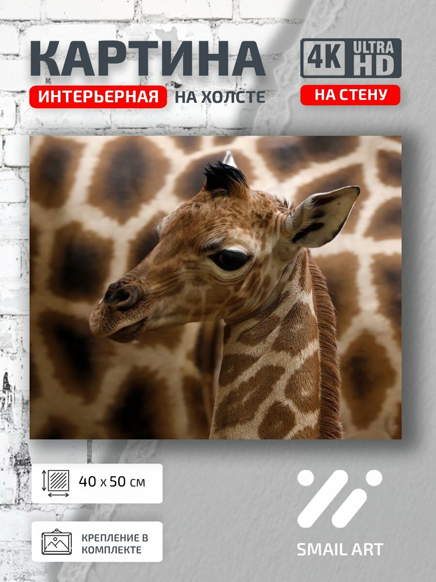 Картина на холсте интерьерная 40 на 50 на стену Жираф Animal для кафе animal style интерьер