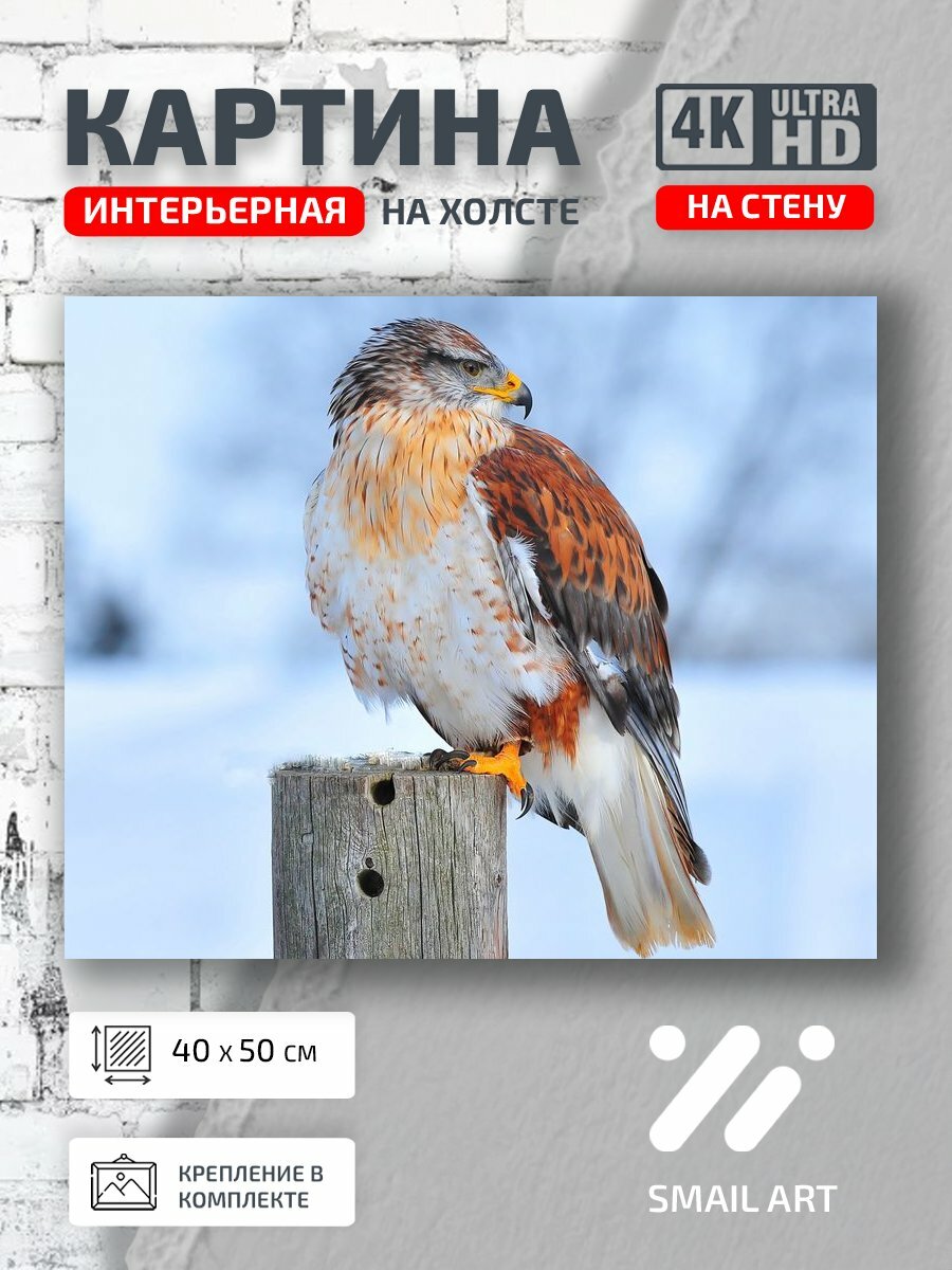 Картина на холсте интерьерная 40 на 50 на стену Птицы Landscape для кабинета пейзаж декор