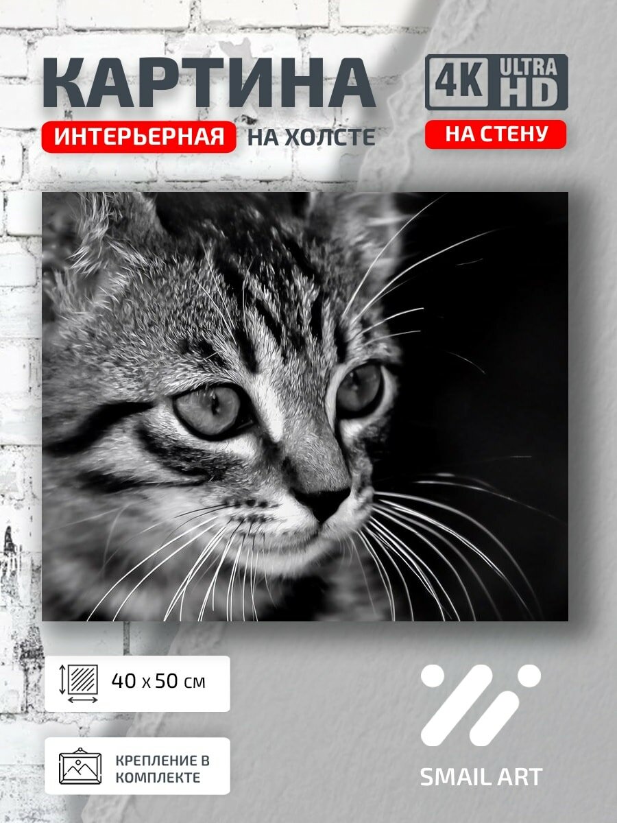 Картина на холсте интерьерная 40 на 50 на стену Животные Котенок для офиса атмосфера