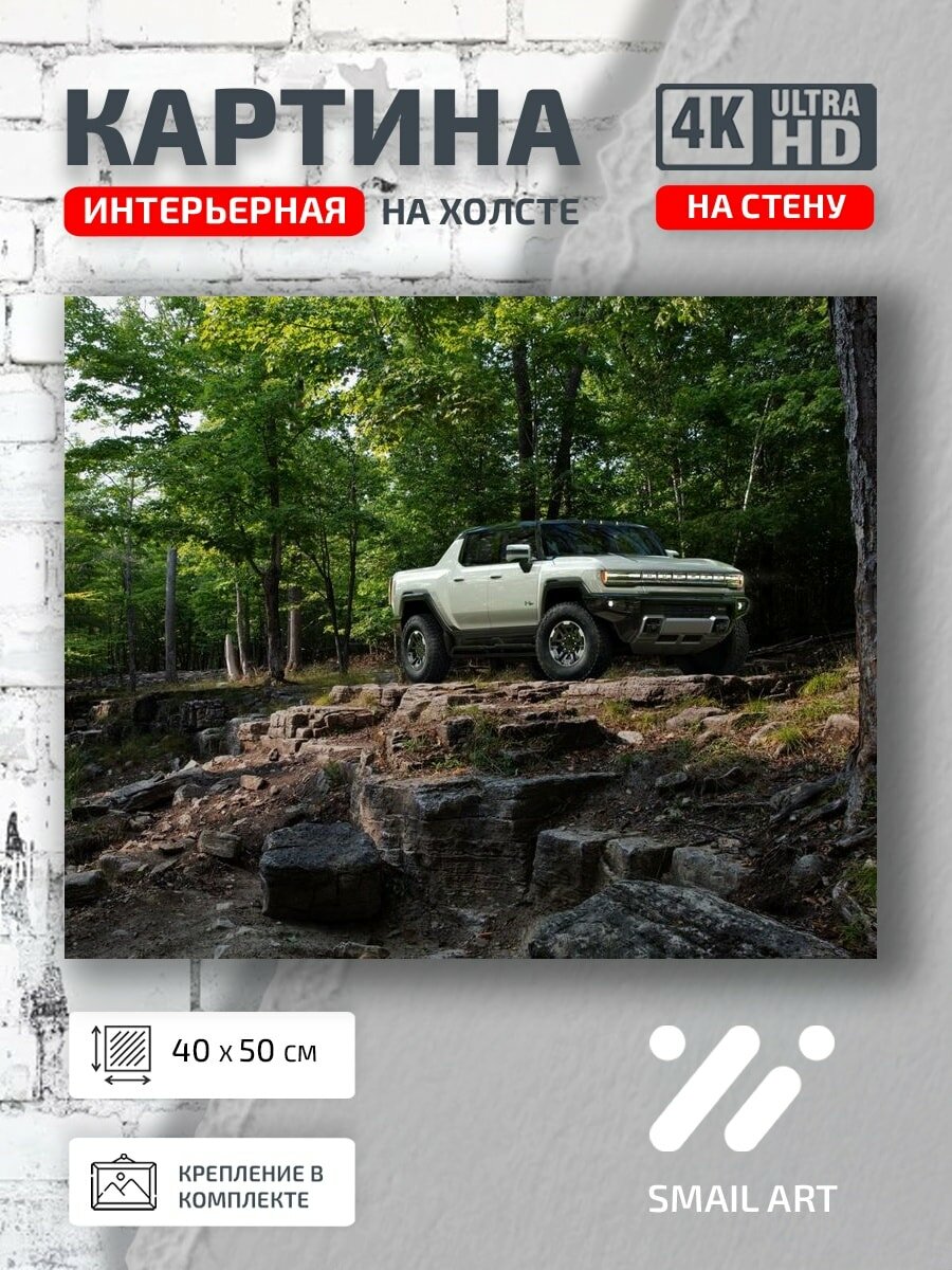 Картина на холсте интерьерная 40 на 50 на стену EV Forest для гостиной пейзаж
