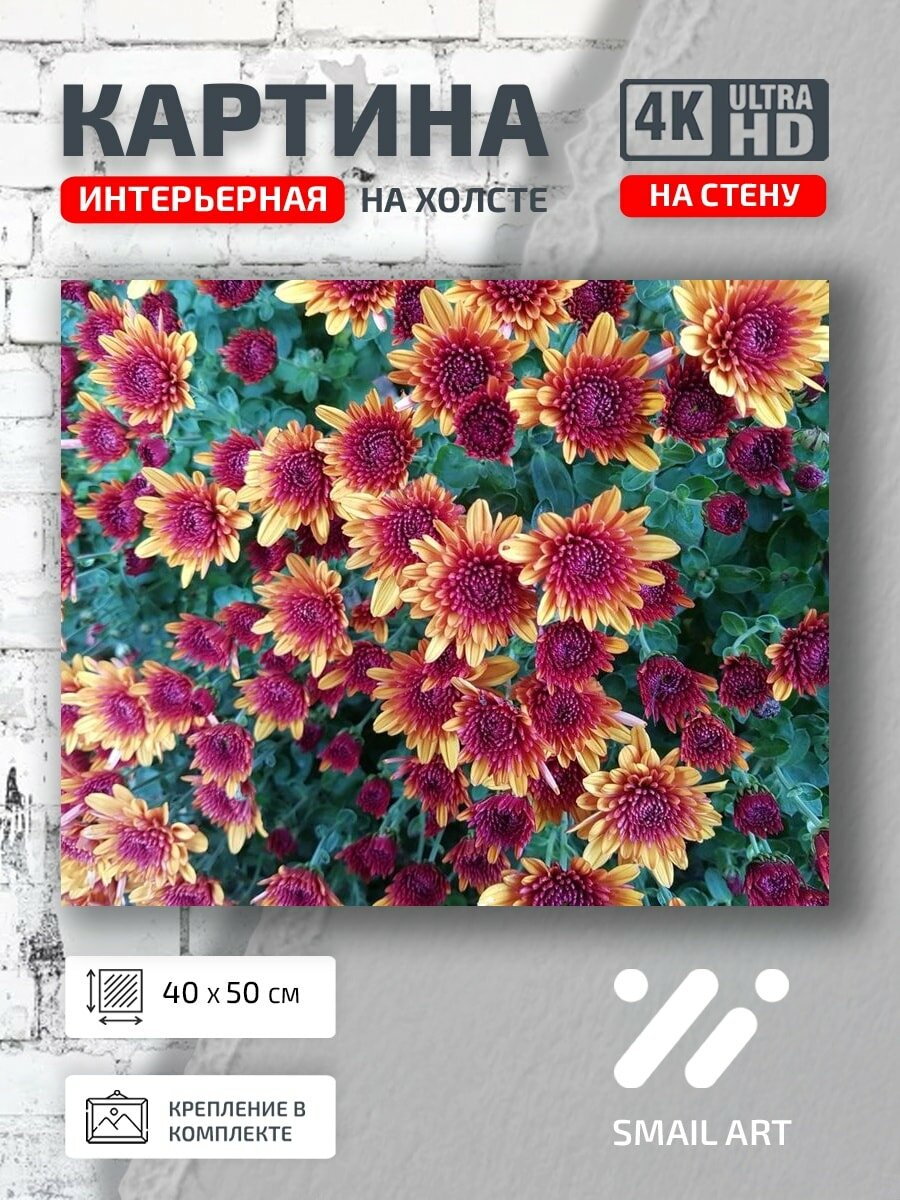 Картина на холсте интерьерная 40 на 50 на стену хризантемы желтые для спальни атмосфера