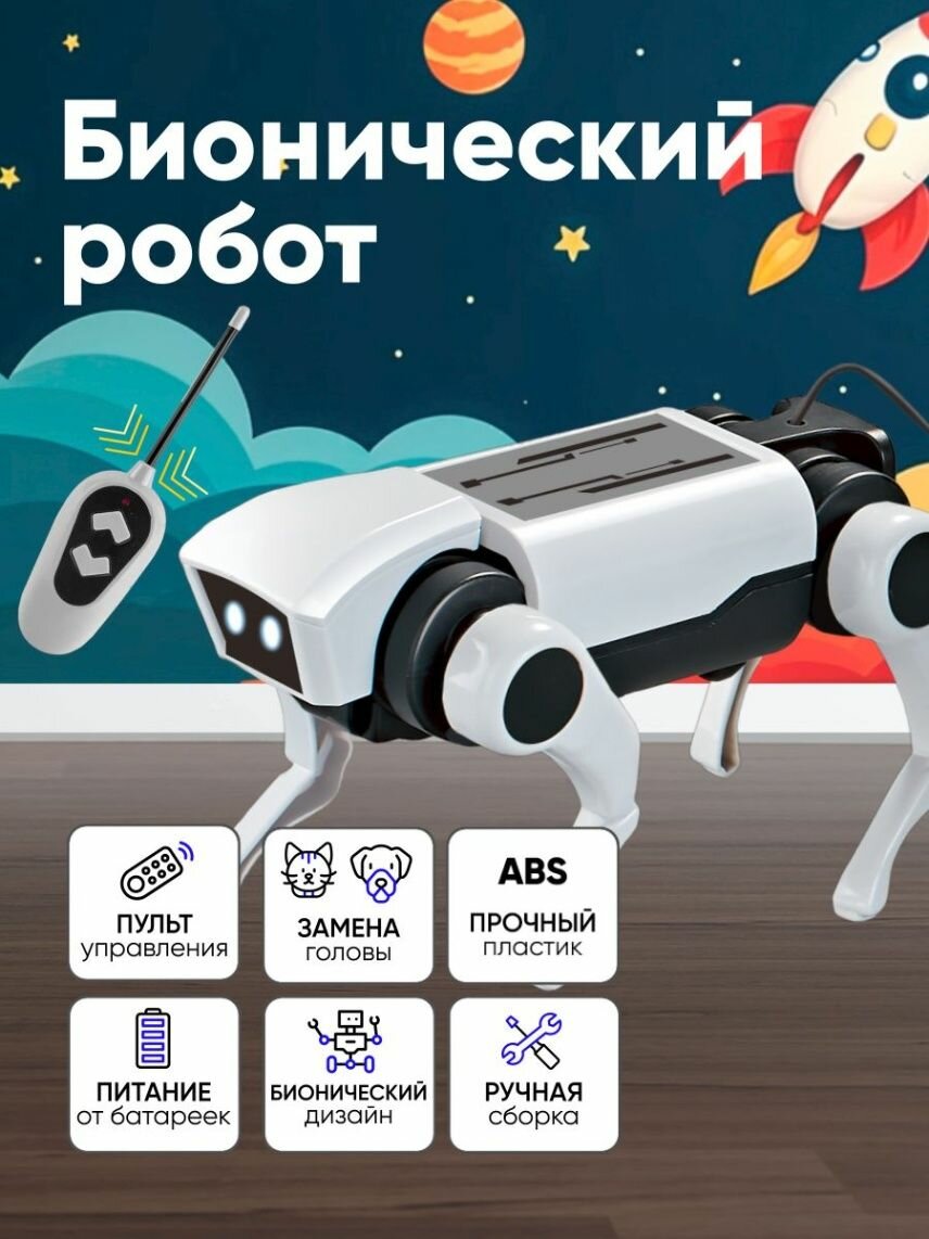 Игрушка радиоуправляемая