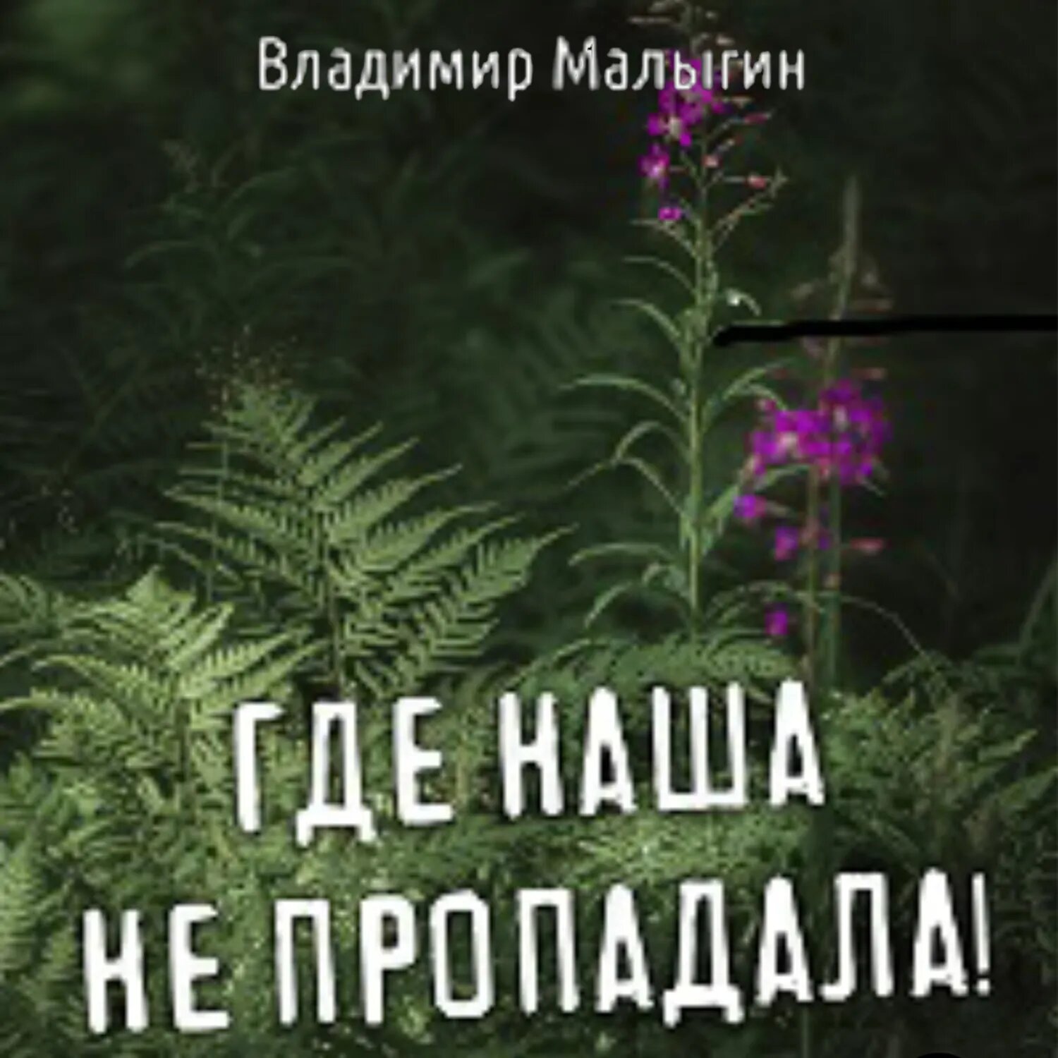 Где наша не пропадала [Аудиокнига]