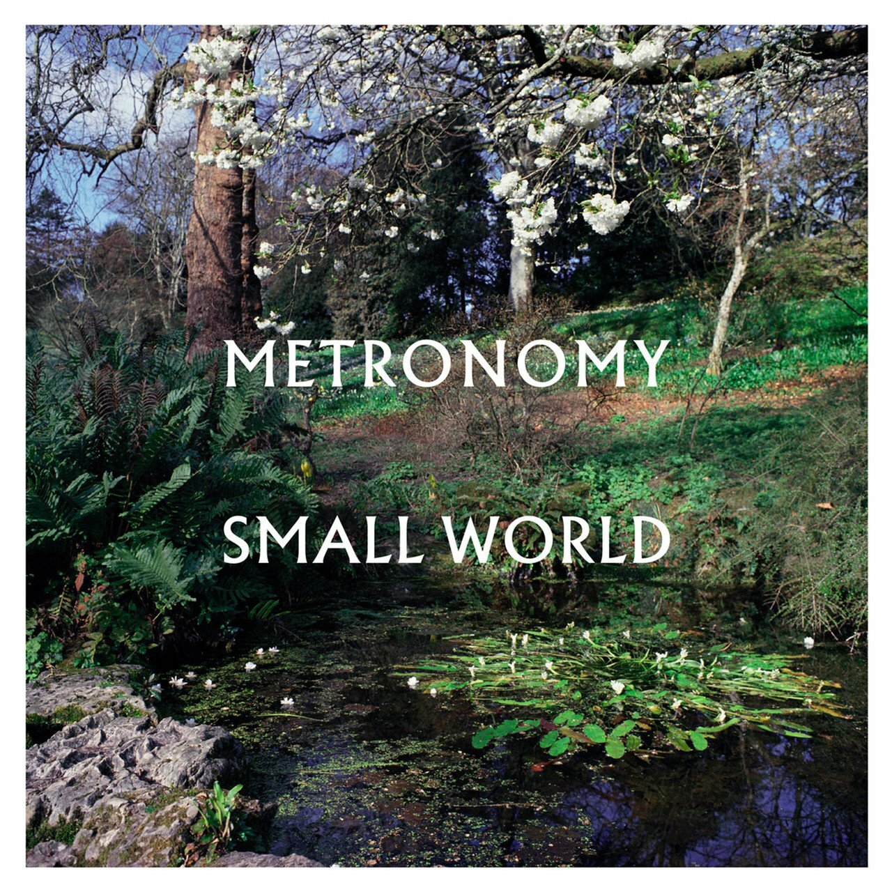 Metronomy. Small World (виниловая пластинка) (LP) — фото 1