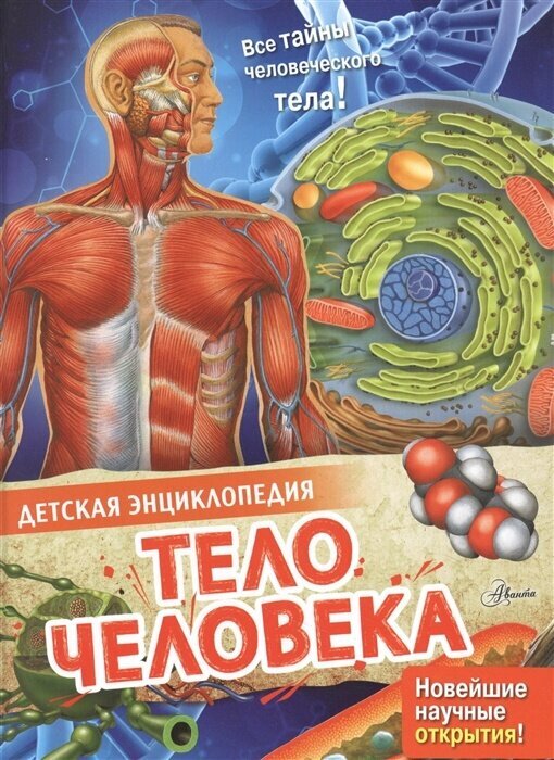 Детская энциклопедия АСТ Тело человека, МакРей Э. Морган С. 2022, cтраниц 32