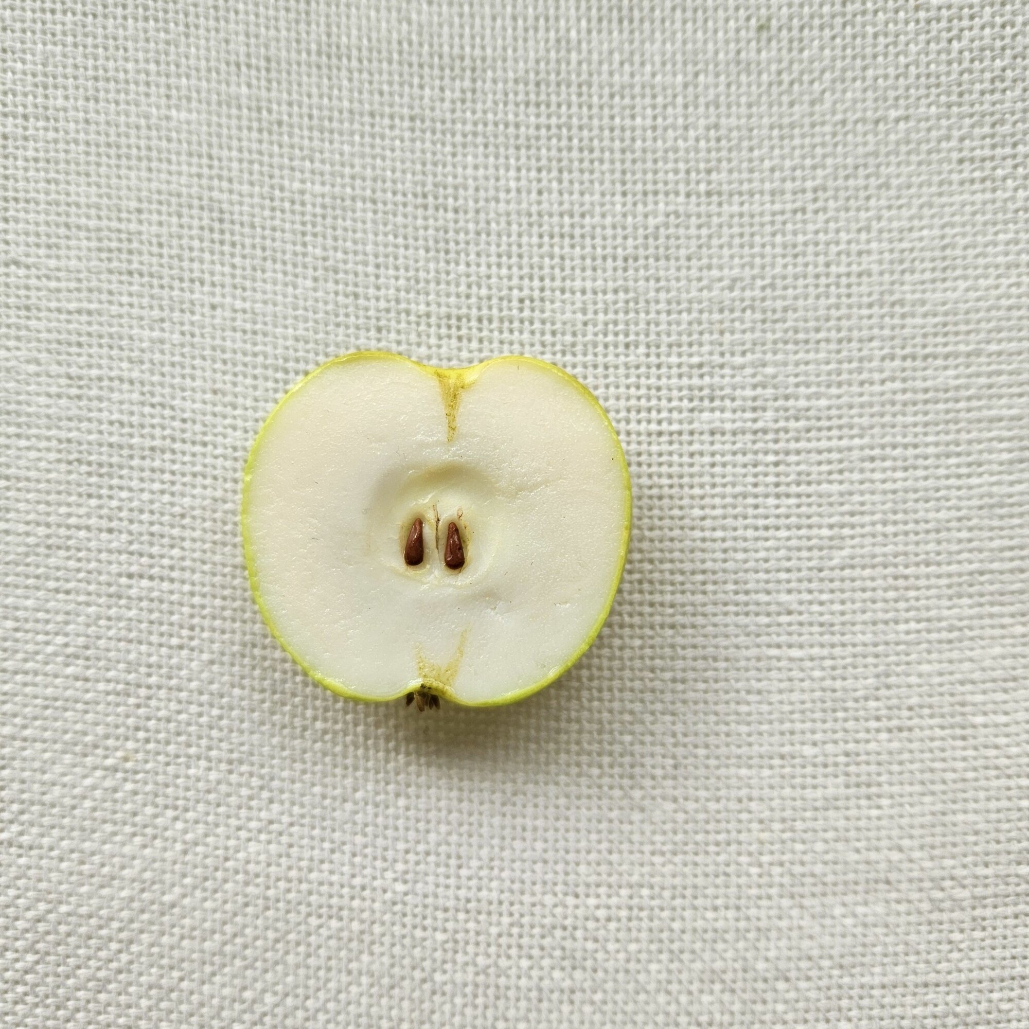 Игольница-магнит/магнитный держатель "Яблочная долька зеленая"